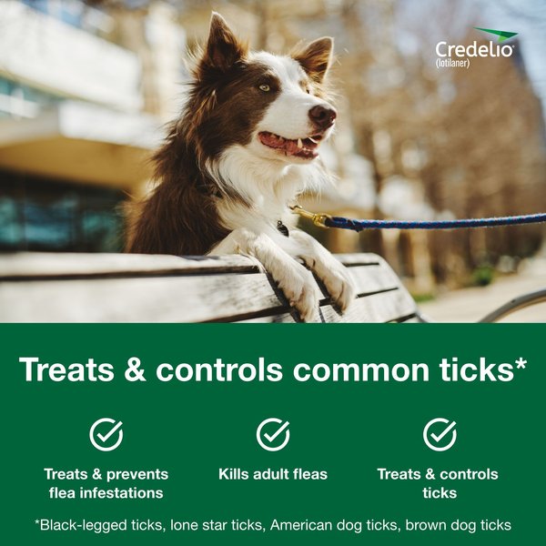 CREDELIO Chewable Tablet for Dogs, 25.1-50 lbs, (Green Box), 1 Chewable ...