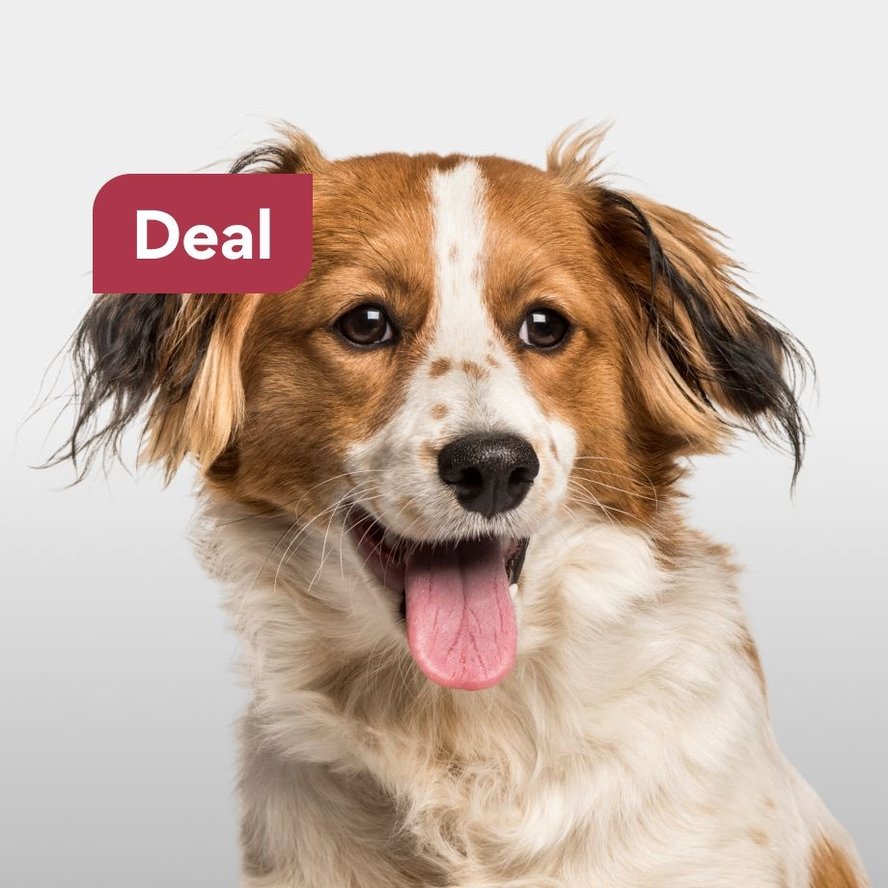 Today's Deals: Chewy Promo Codes, Discounts & Coupons | Chewy