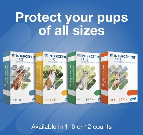 INTERCEPTOR PLUS Chew for Dogs, 25.1-50 lbs, (Yellow Box) - Easy ...