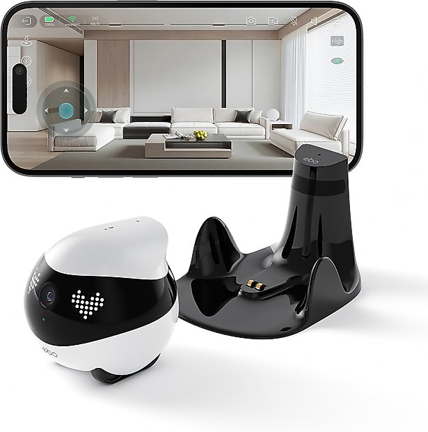 Dog Cameras - Page 2 (Free Shipping) | Chewy