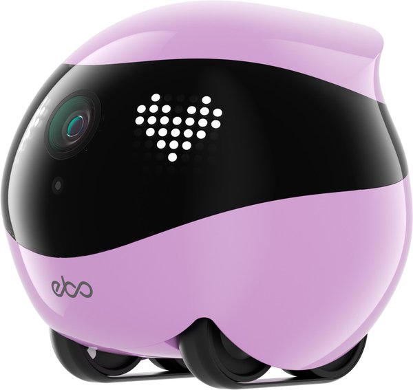 ENABOT EBO Air 2 Pet Camera, Robin Pink - Chewy.com