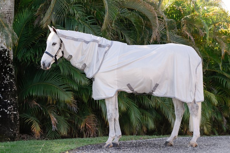Horse Blankets, Sheets & Masks - Free shipping | Chewy