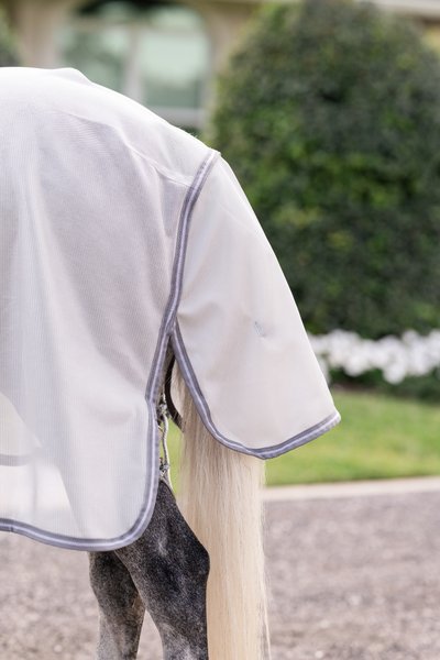 AMIGO Bug Rug Plus Pony Fly Sheet, Silver with Titanium Grey & Silver ...