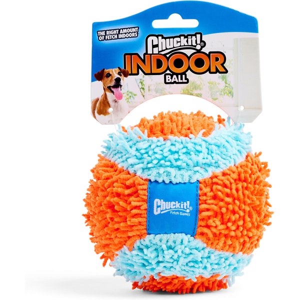 CHUCKIT! Indoor Ball Dog Toy - Chewy.com