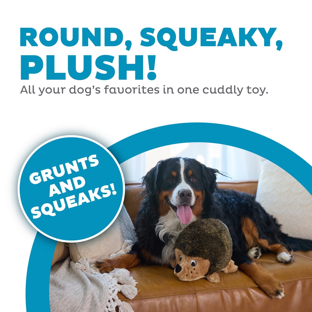 OUTWARD HOUND HedgehogZ Squeaky Plush Dog Toy, X-Large - Chewy.com