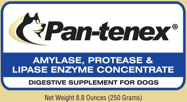 PAN-TENEX 10x Digestive Enzymes Granule Supplement for Dogs, 8.8-oz jar ...