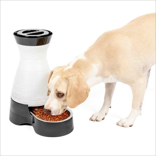PETSAFE Healthy Pet Food Station Gravity Refill Dog & Cat Feeder, 4-lb ...