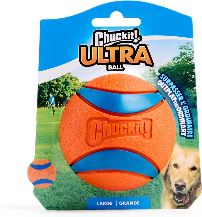 Interactive Dog Toys for Mental Stimulation - Free shipping | Chewy