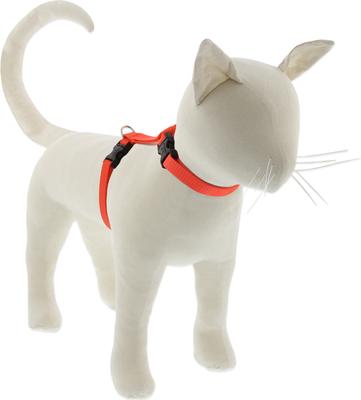LUPINEPET Basic Solid H-Style Cat Harness, Blaze Orange, Large: 12 to ...