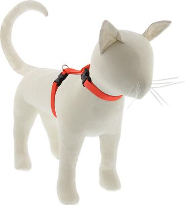 LUPINEPET Basic Solid H-Style Cat Harness, Blaze Orange, Small: 9 to 14 ...