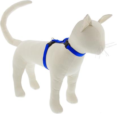 LUPINEPET Basic Solid H-Style Cat Harness, Blue, Small: 9 to 14-in ...