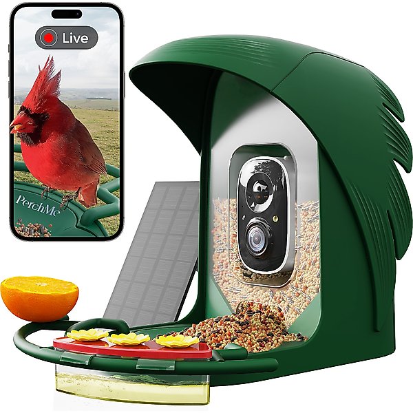 Out of Stock - FEATHERSNAP Scout Wi-Fi Solar Powered Camera Smart Bird ...