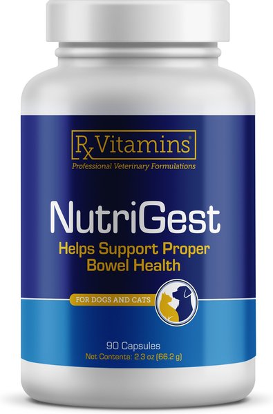 RX VITAMINS Nutrigest Capsules Digestive Supplement for Cats & Dogs, 90 ...