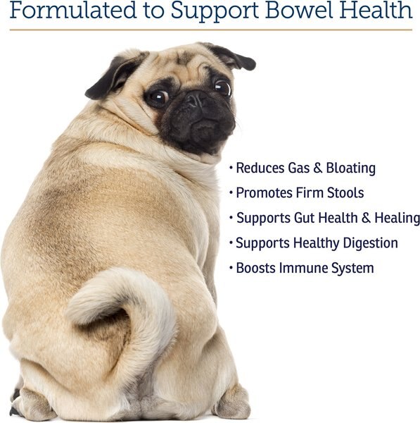 RX VITAMINS Nutrigest Capsules Digestive Supplement for Cats & Dogs, 90 ...