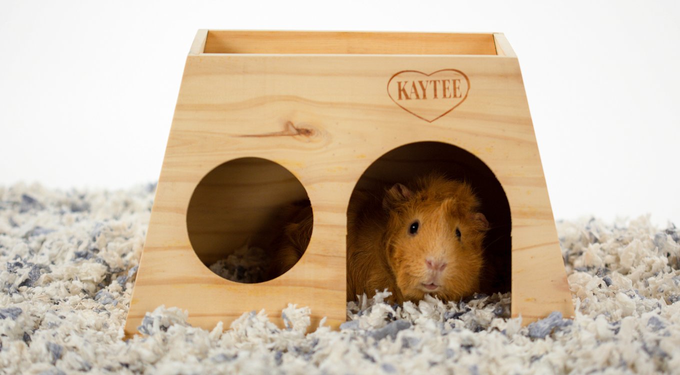 KAYTEE Woodland Get-A-Way Small Pet Hideout, Large - Chewy.com
