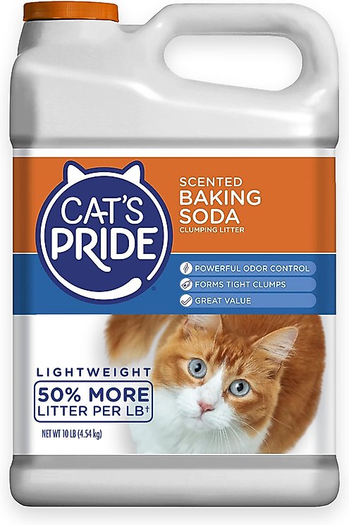 Lightweight Cat Litter: Best Lightweight Kitty Litter (Free Shipping ...