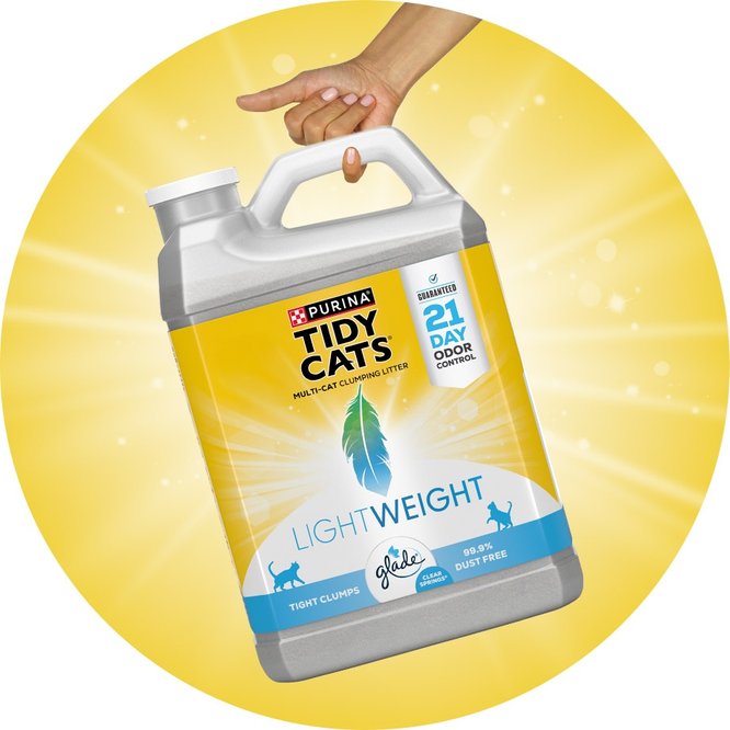 Tidy Cats: Cat Litter (Free Shipping) | Chewy