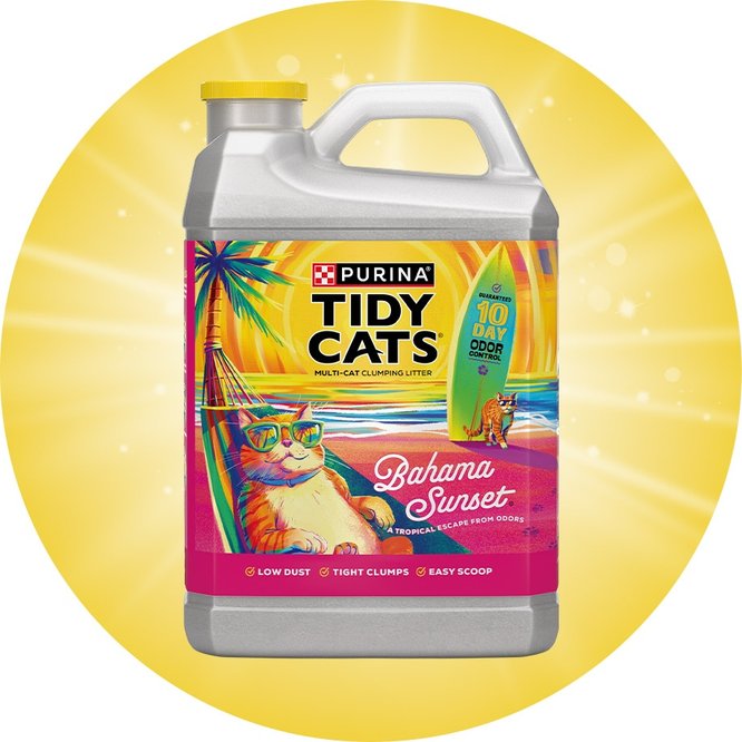 Tidy Cats: Cat Litter (Free Shipping) | Chewy