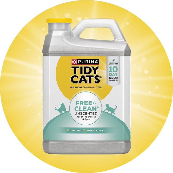 Tidy Cats: Cat Litter (Free Shipping) | Chewy