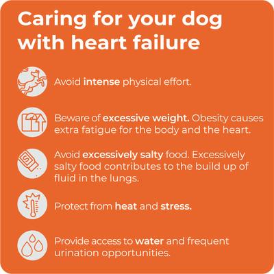 CARDALIS (Spironolactone/Benazepril) Chewable Tablets for Dogs, 80mg ...