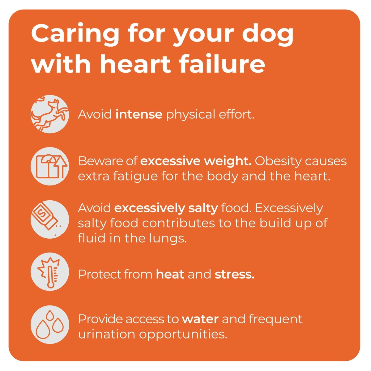 CARDALIS (Spironolactone/Benazepril) Chewable Tablets for Dogs, 80mg ...