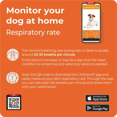 CARDALIS (Spironolactone/Benazepril) Chewable Tablets for Dogs, 20mg/2 ...