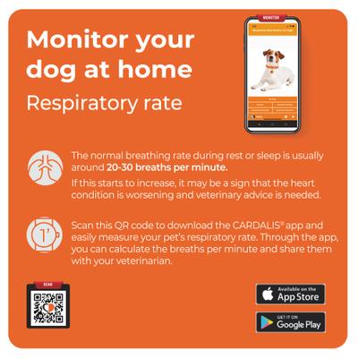 CARDALIS (Spironolactone/Benazepril) Chewable Tablets for Dogs, 80mg ...