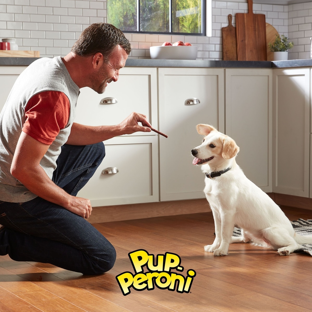 PUP-PERONI Lean Beef Flavor Dog Treats, 38-oz bag - Chewy.com
