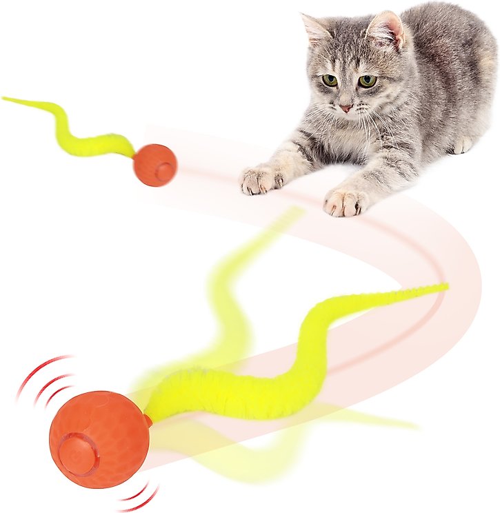 Cat Ball Toys & Chaser Toys (Free Shipping) | Chewy