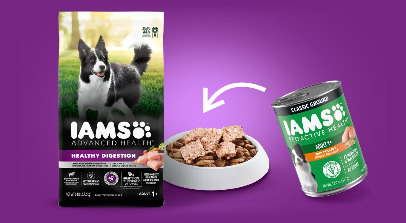 IAMS Advanced Health Skin & Coat Chicken & Salmon Recipe Adult Dry Dog ...