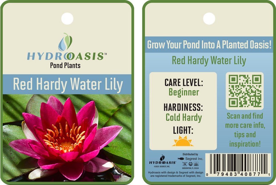 HYDROASIS Hardy Water Lily Live Pond Plant, Red - Chewy.com