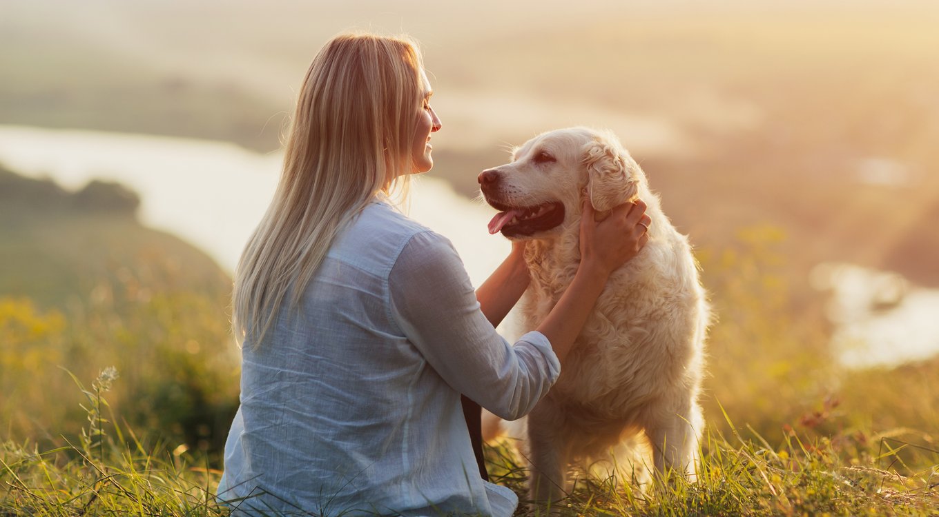 HONEST PAWS Well Pre+ Probiotic Digestive Support Chicken Flavored ...