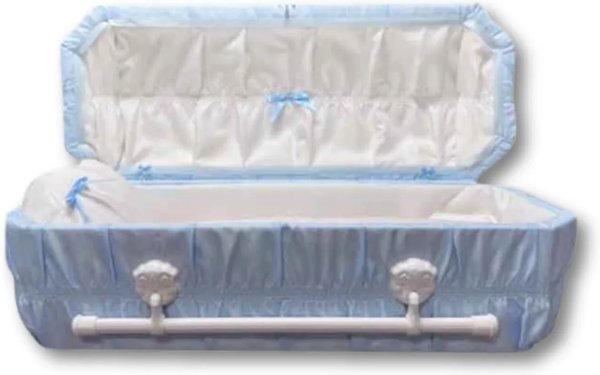 TITAN CASKET Octagon Cloth Covered Casket, Sky Blue, 2-ft - Chewy.com