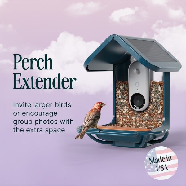 BIRD BUDDY Perch Extender Wild Bird Feeder Accesory - Chewy.com