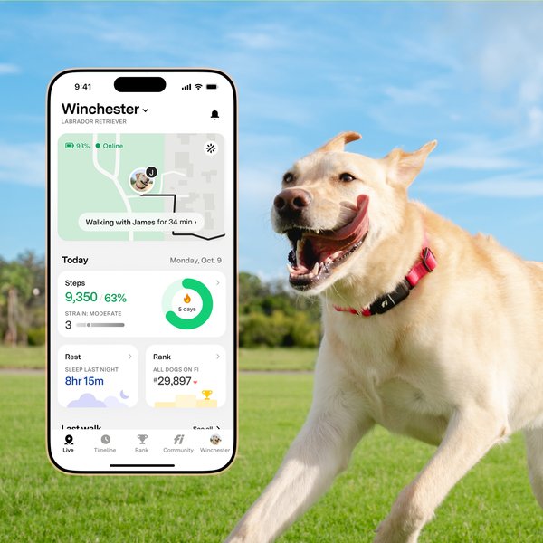 Out of Stock - FI Series 3 Kit Dog GPS Tracking Collar, Pink, Large: 15 ...