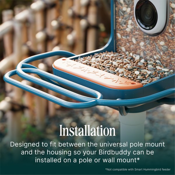 BIRD BUDDY Perch Extender Wild Bird Feeder Accesory - Chewy.com