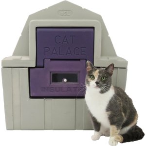 DOG PALACE Cat Palace Insulated Cat House - Chewy.com
