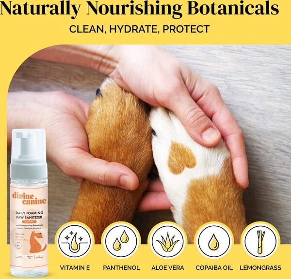 DIVINE CANINE Lick-Safe Daily Foaming Dog Paw Sanitizer, 8.4-oz bottle ...