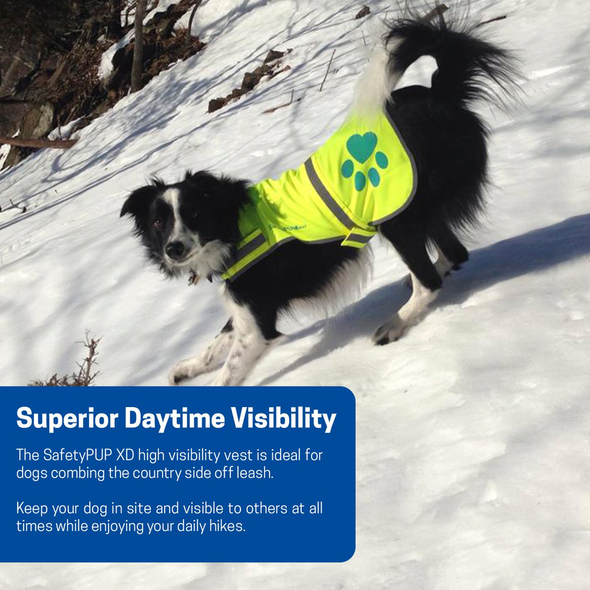 SAFETYPUP XD Urban Reflective Dog Vest, Yellow, Large - Chewy.com