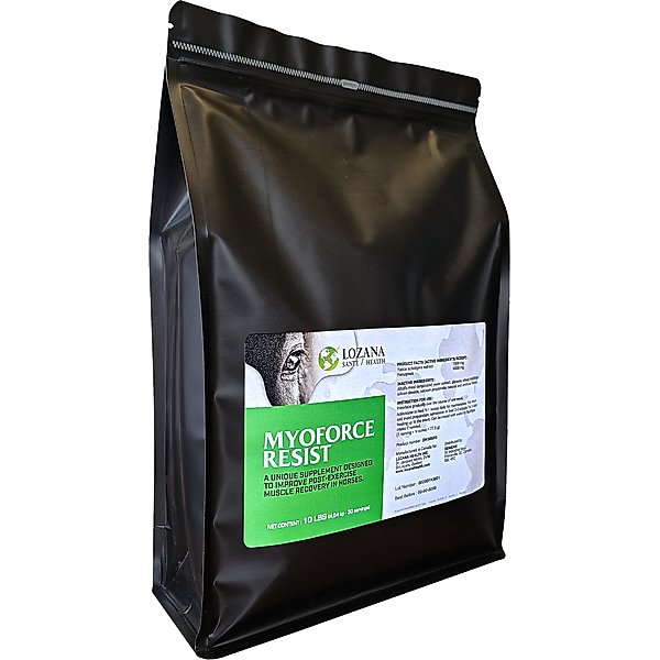 BLUEBONNET FEEDS Competitive Edge Amino Acid Recovery Pellets Horse ...