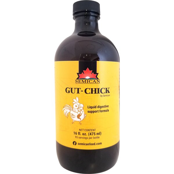 EQUA HOLISTICS HealthyGut Probiotics Poultry Supplement, 8.5-oz tub ...