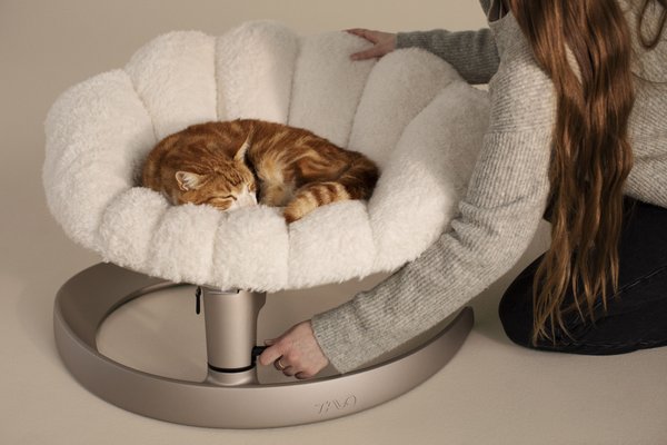 TAVO PETS Shell Swaying Lounger Dog & Cat Bed, Latte - Chewy.com