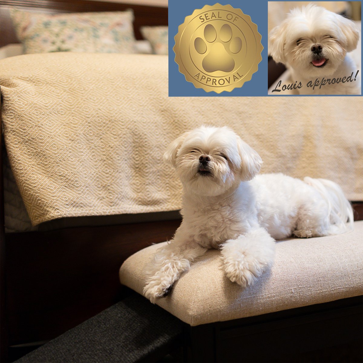 OIC PET Barkley Cat & Dog Bench Ramp, Black Walnut - Chewy.com