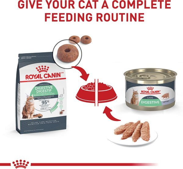 ROYAL CANIN Feline Care Nutrition Digestive Care Loaf Pate Wet Cat Food ...