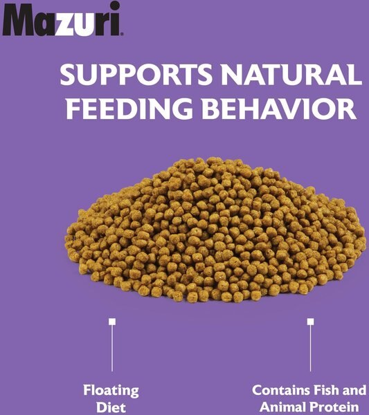 MAZURI Aquatic Turtle Food, 12-oz bag - Chewy.com