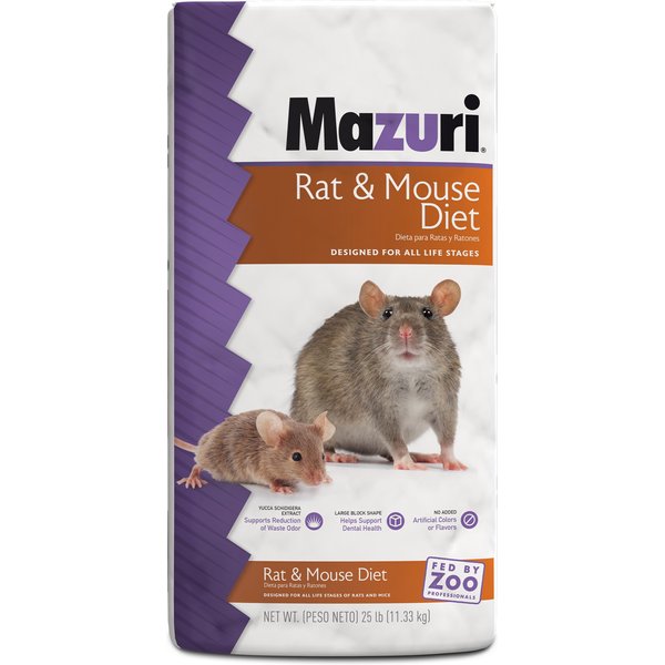 10 Best Mouse Foods 2025: According to Reviews | Chewy