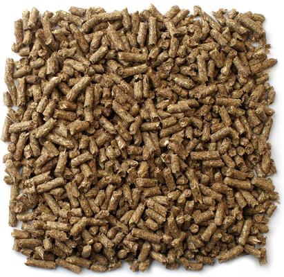 MAZURI Timothy Based Rabbit Food, 25-lb bag - Chewy.com