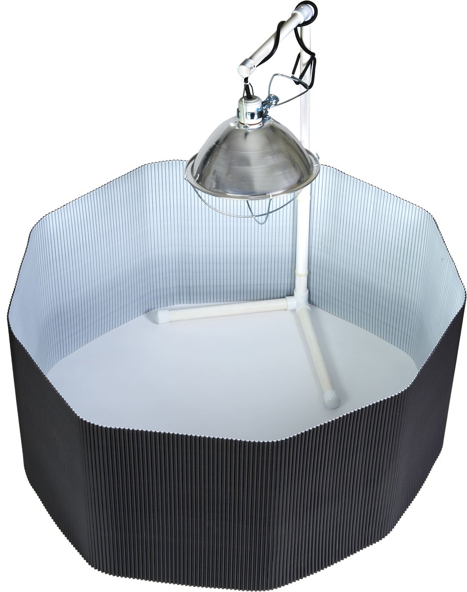 Out of Stock - LITTLE GIANT Chick Brooder Kit - Chewy.com