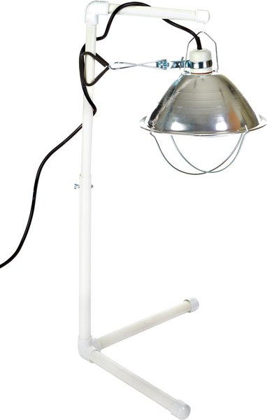 Out of Stock - LITTLE GIANT Chick Brooder Kit - Chewy.com