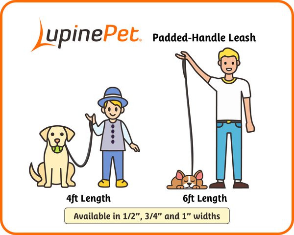 LUPINEPET Basic Solid Padded Handle Dog Leash, Black, Regular: 6-ft ...